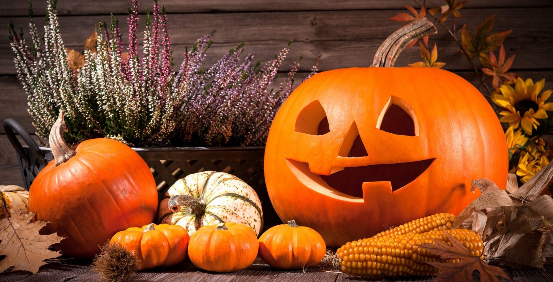 Halloween Holiday - When is it? History of the Holiday