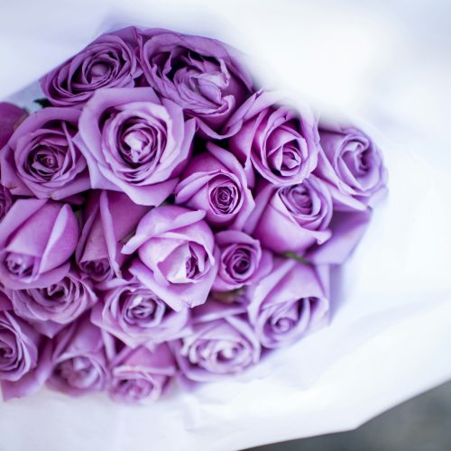 Roses Color Meaning - WOWBouquet