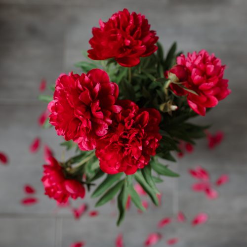 Types of Red Flowers: Meanings and Symbolism - WOWBouquet
